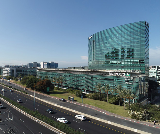 אמפא מניבים - AMPA GROUP