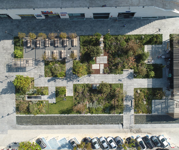 אמפא מניבים - AMPA GROUP